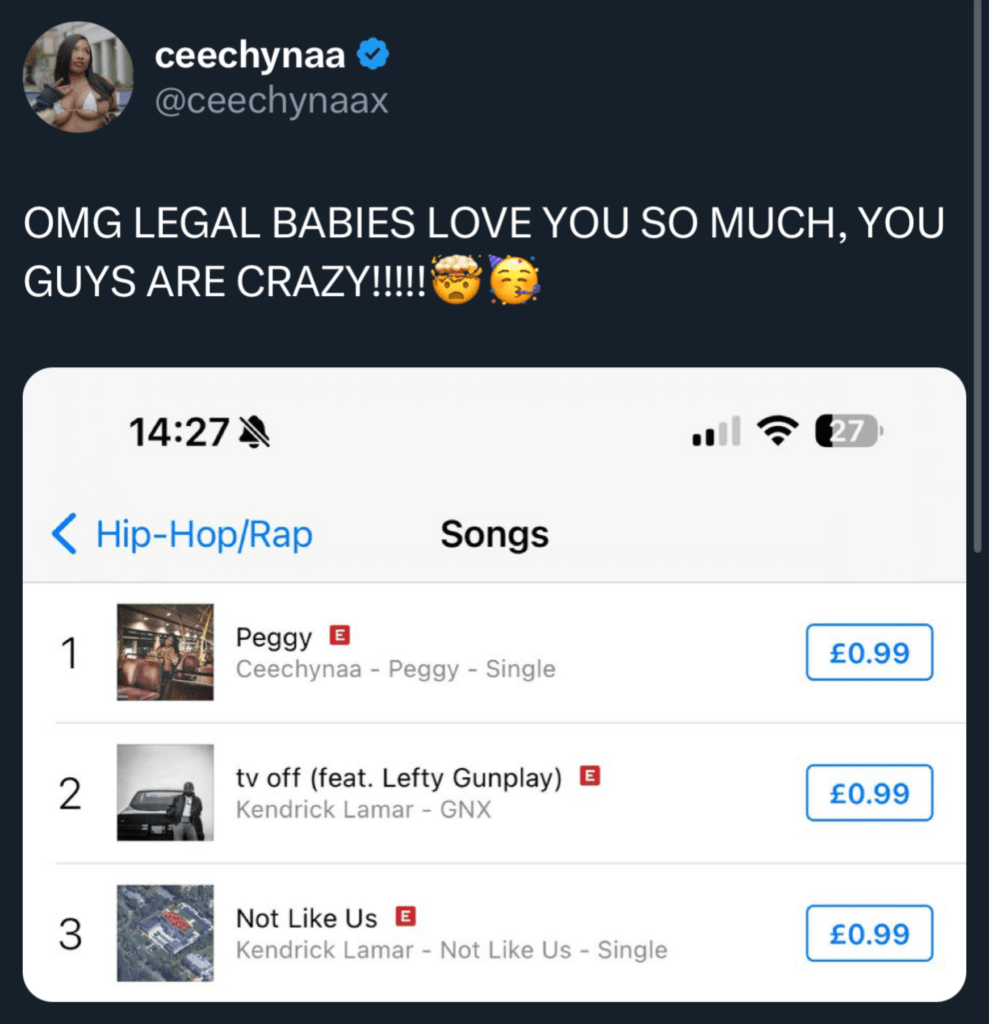 Who’s That Girl?: Ceechynaa – Restless Violets